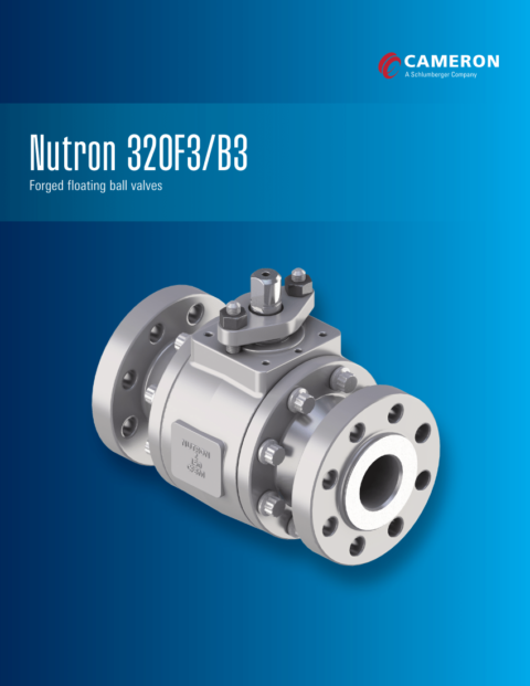NUTRON T3, 320F3/B3 | Energy Valves